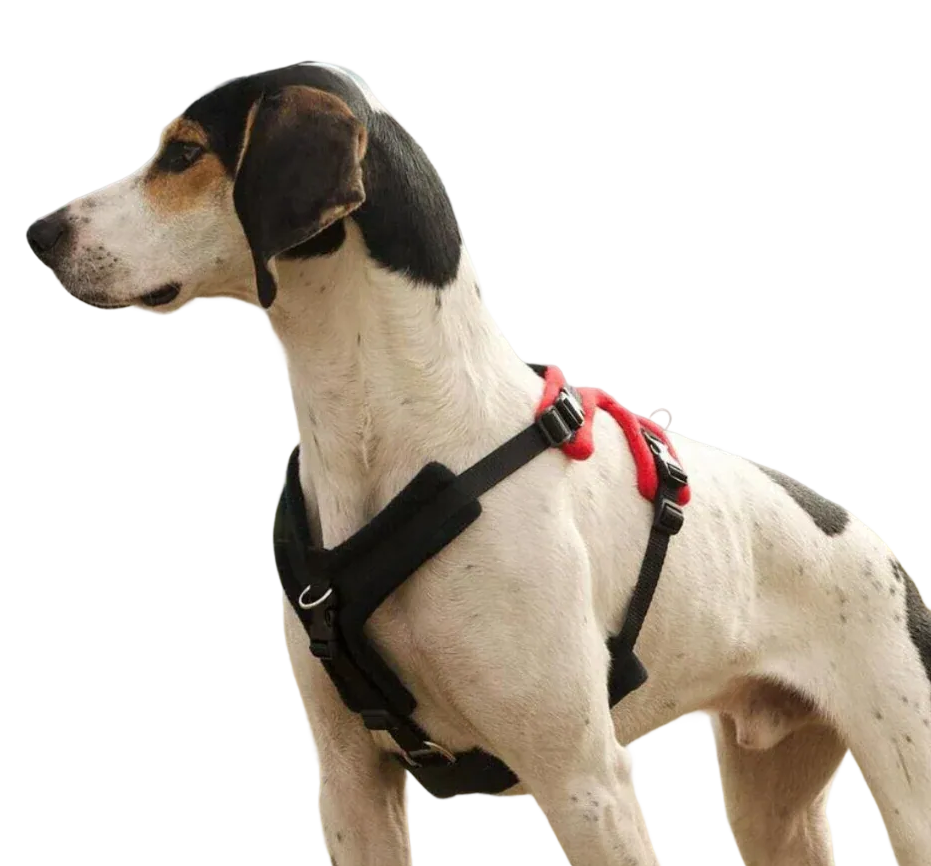 PerfectFit Dog Harness